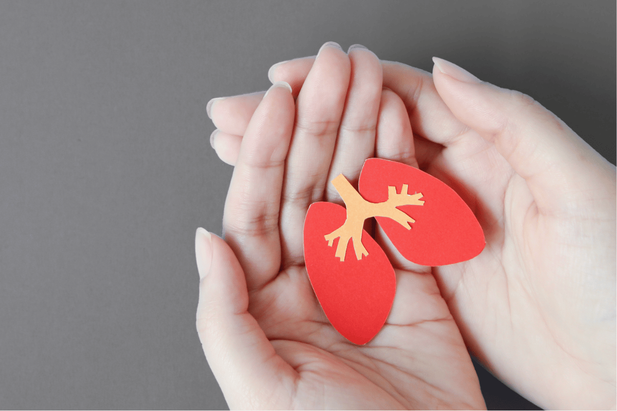 LITTLE LUNGS | A new immersive audio story exploring indoor air quality ...